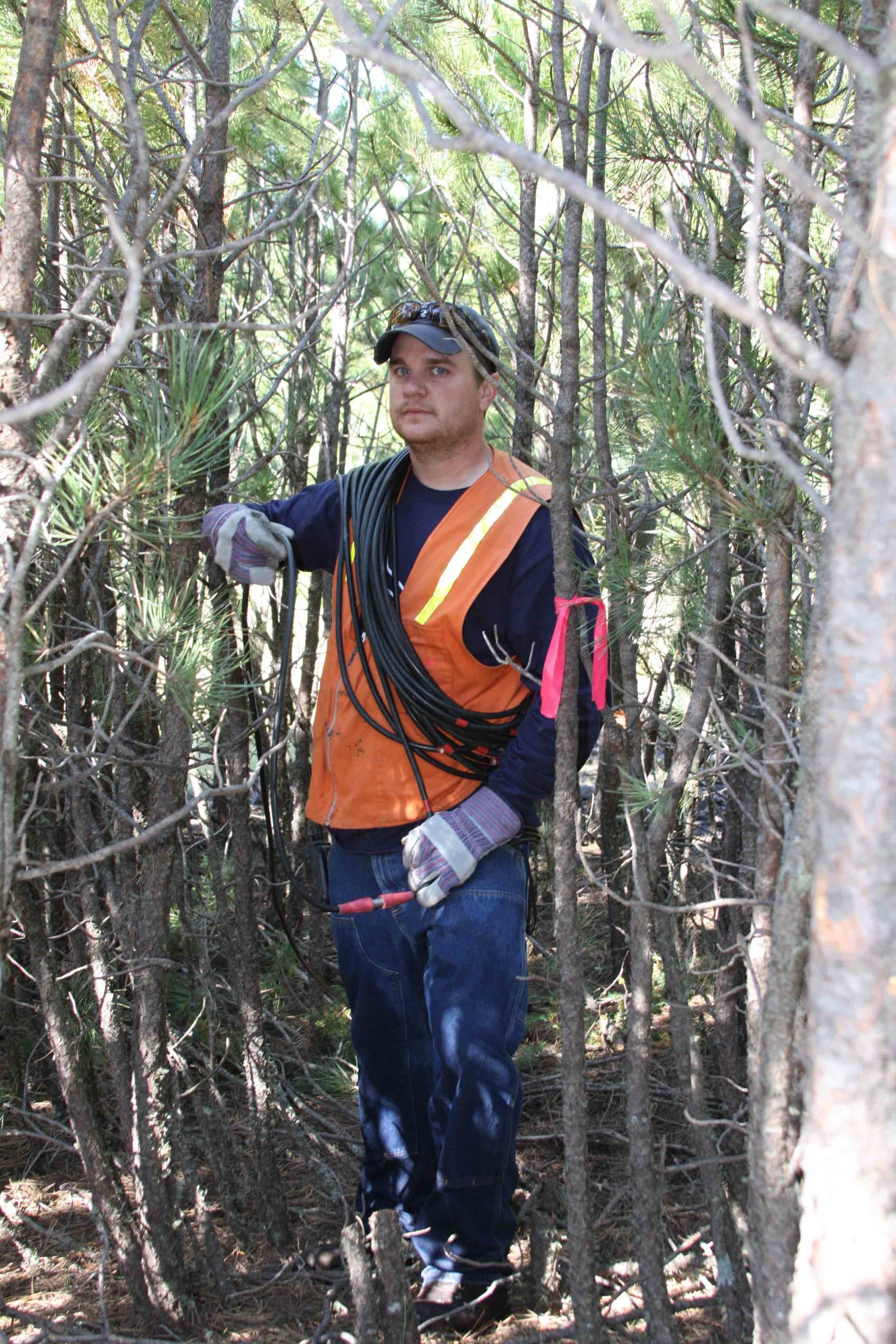 Brian in trees - hydroGEOPHYSICS